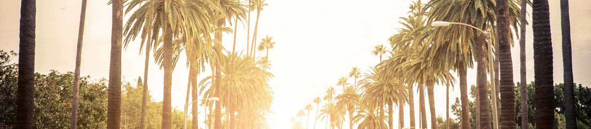 Dr. Ben Talei Beverly Hills Hair Group, Los Angeles, Santa Monica